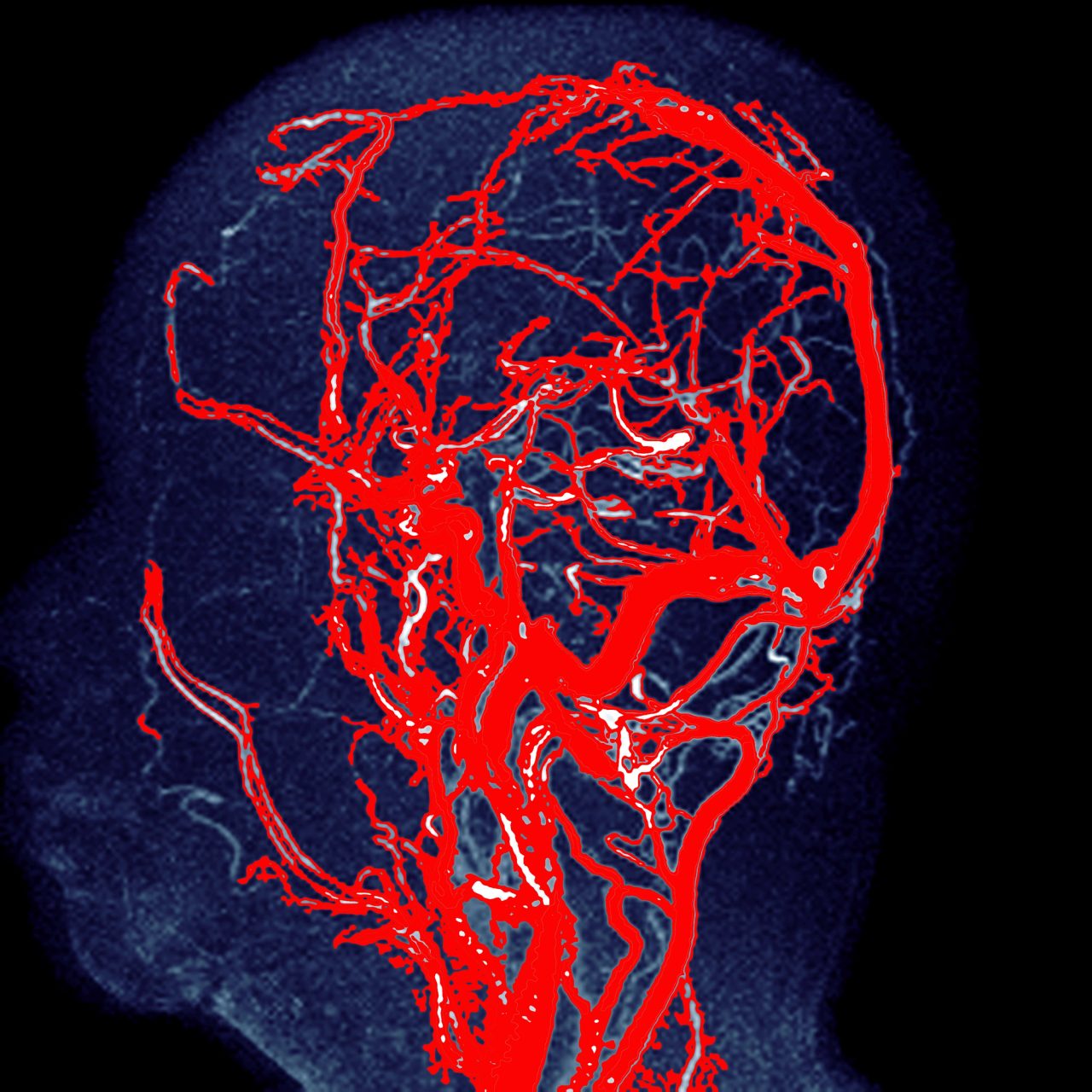 rockledgemri.com